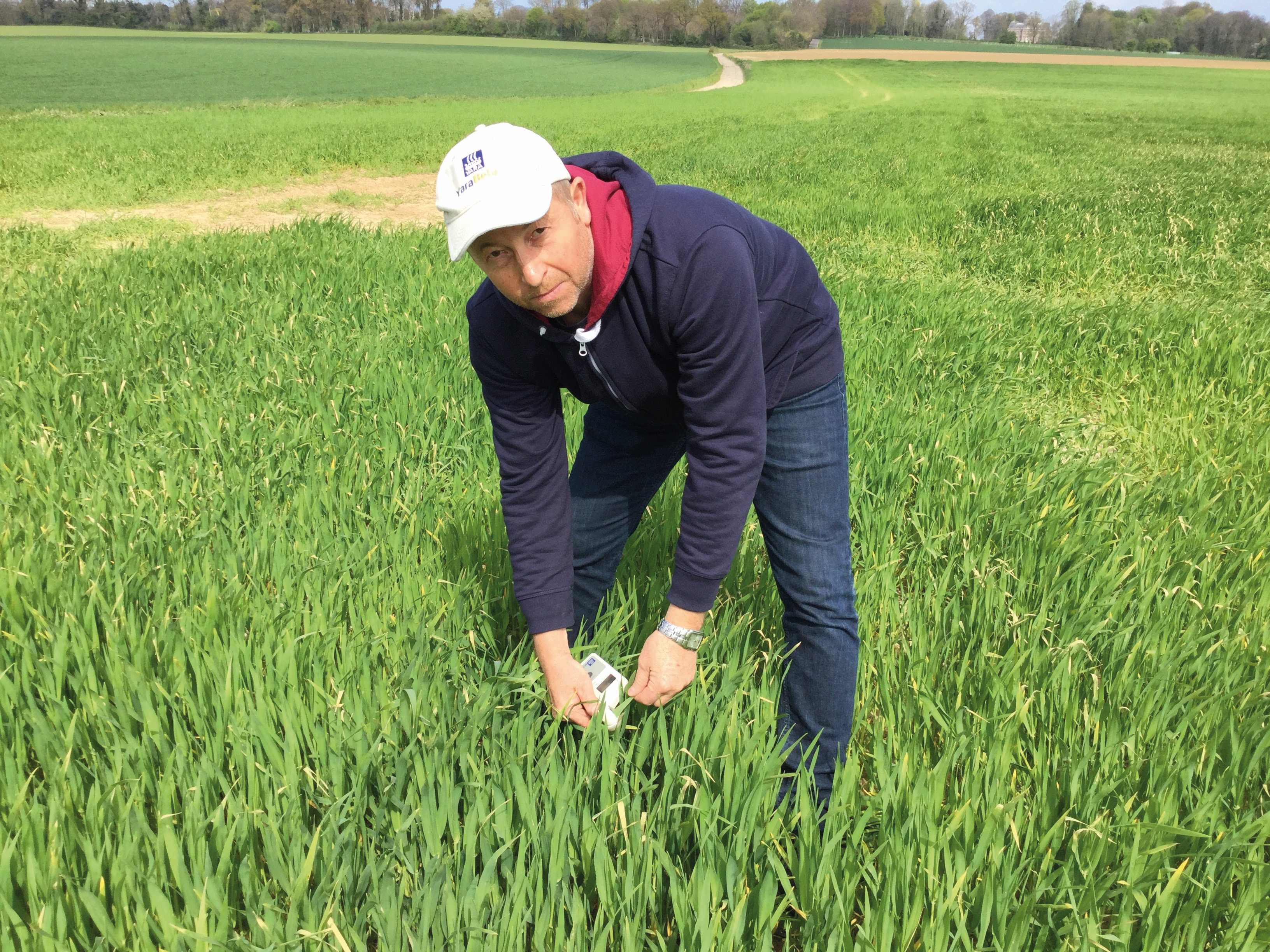 Demain, des engrais totalement décarbonés ? | Perspectives Agricoles