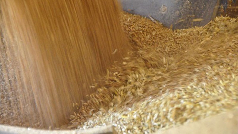 Collecte de blés tendre 2025 : quelle qualité ? | Perspectives Agricoles