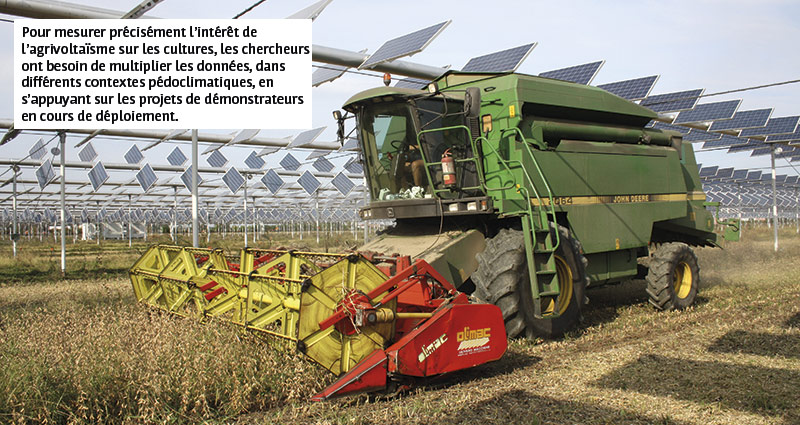 Quels impacts a l'agrivoltaïsme sur les cultures ? | Perspectives Agricoles