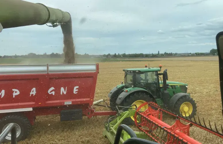 Récolte 2023 : hausse de la production de blé tendre confirmée ...